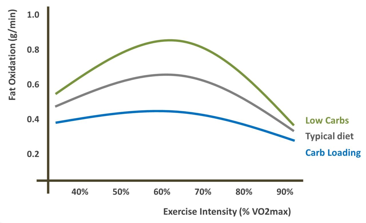 Myths about Fat Oxidation and Exercise (aka is it time to forget about ...