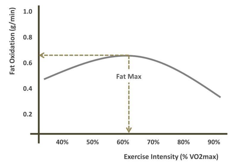 Myths about Fat Oxidation and Exercise (aka is it time to forget about ...