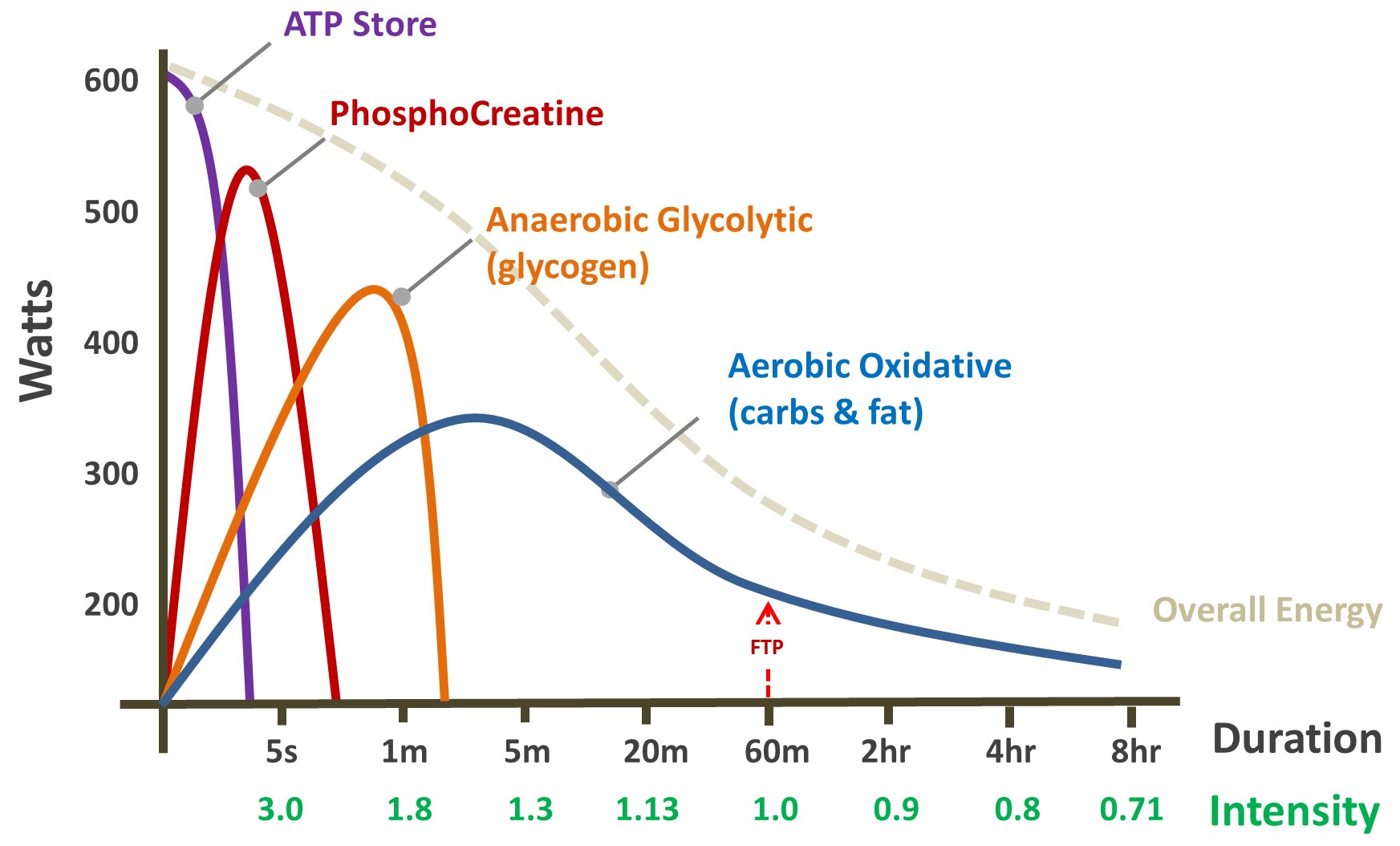 Coach: Is Anaerobic Power more trainable than Aerobic Power ...