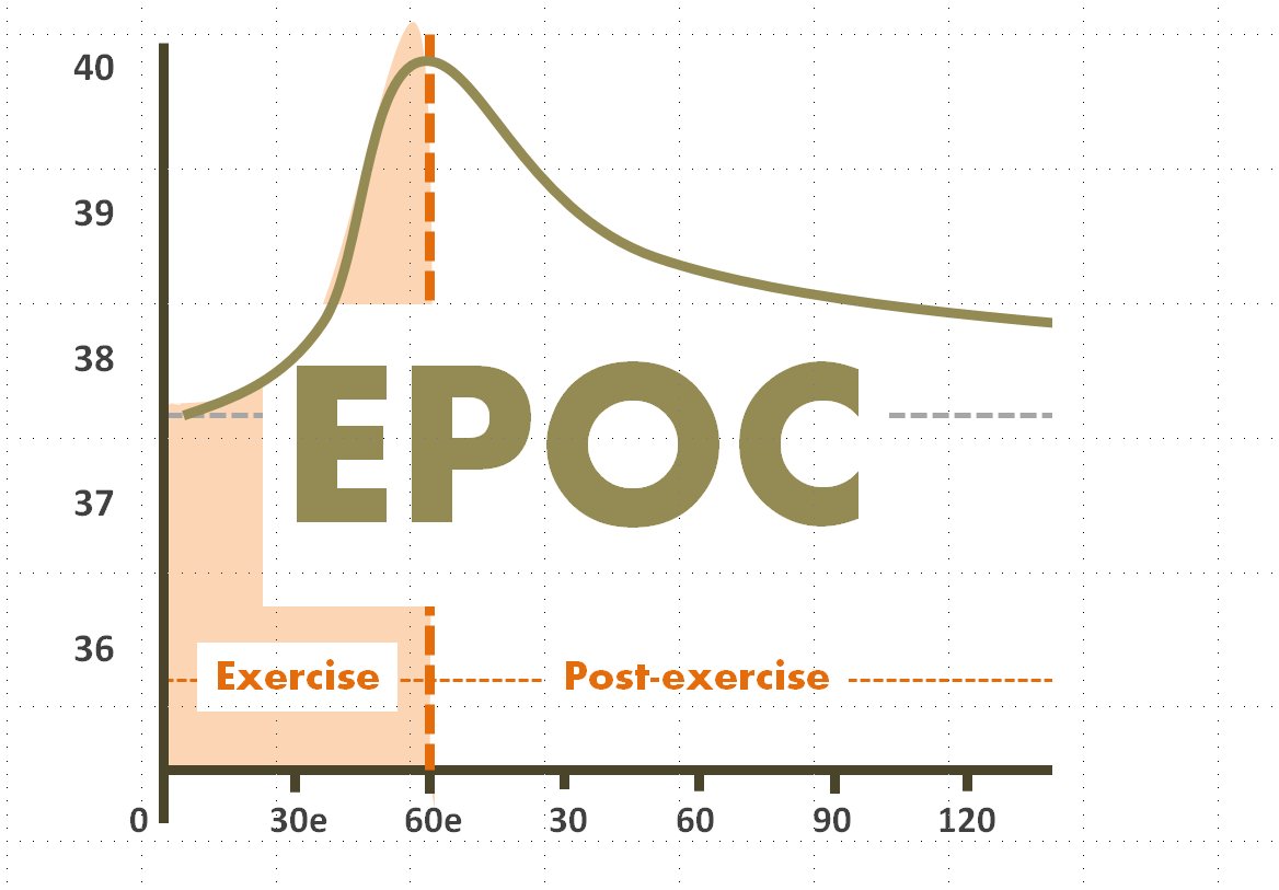 How much energy do you need to recover? understanding EPOC - CyclingApps.net (Fastfitness Group)